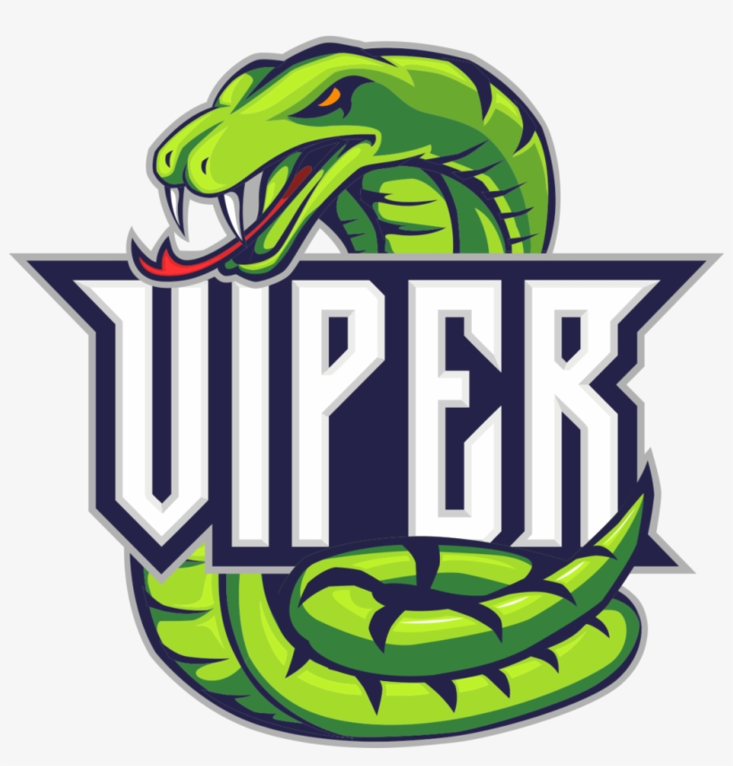 Viper Green Logo Transparent Transparent PNG - 1024x1021 - Free ...