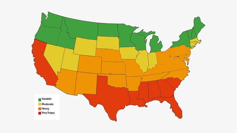 Carpenter Ants - North Creek Washington On Map Transparent PNG ...