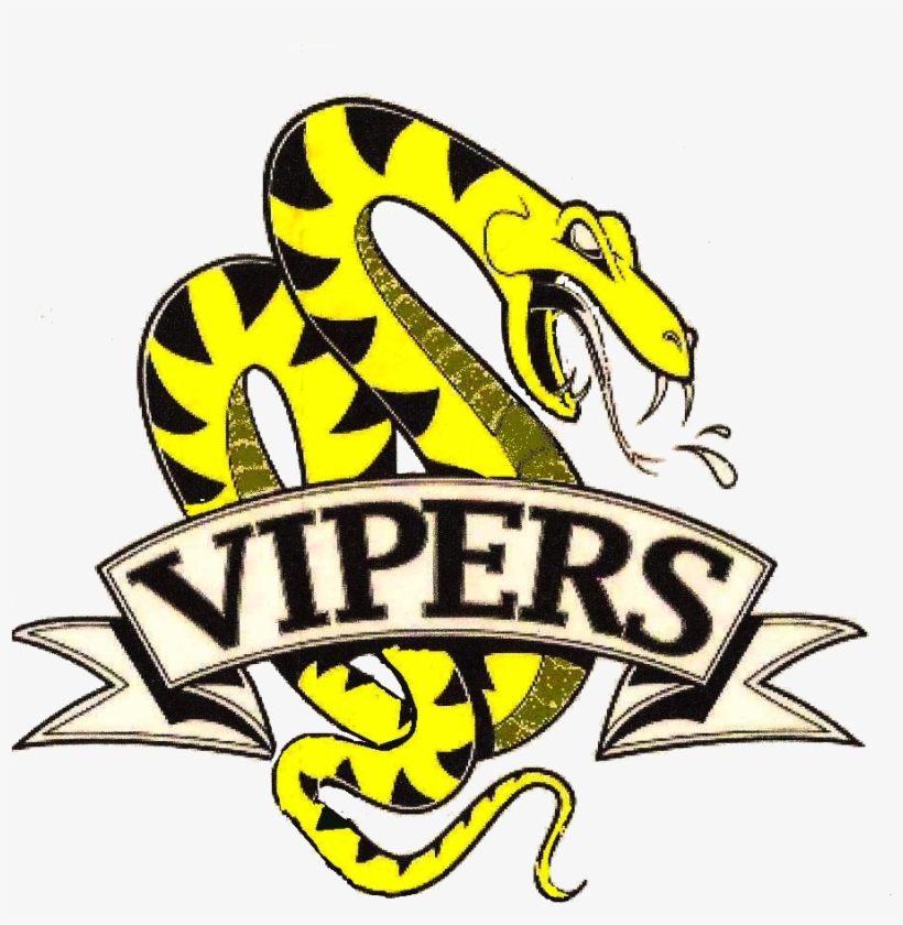 Viper Logo - Python Transparent PNG - 920x924 - Free Download on NicePNG