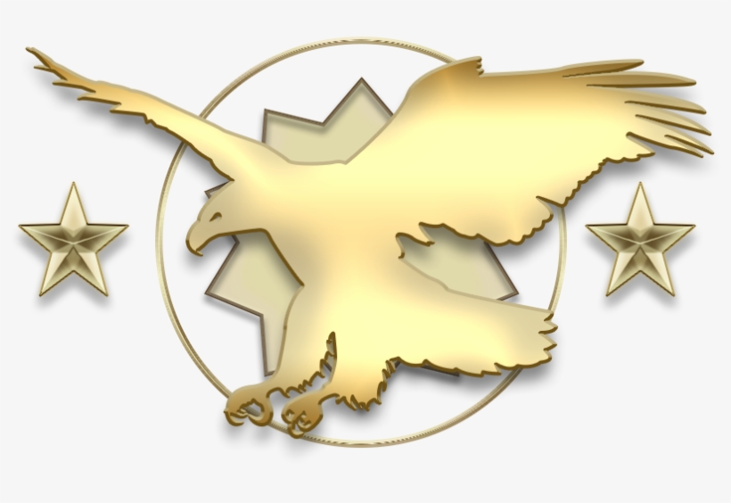 Legendary Eagle - Cs Go Legendary Eagle Png Transparent PNG - 1046x615 ...