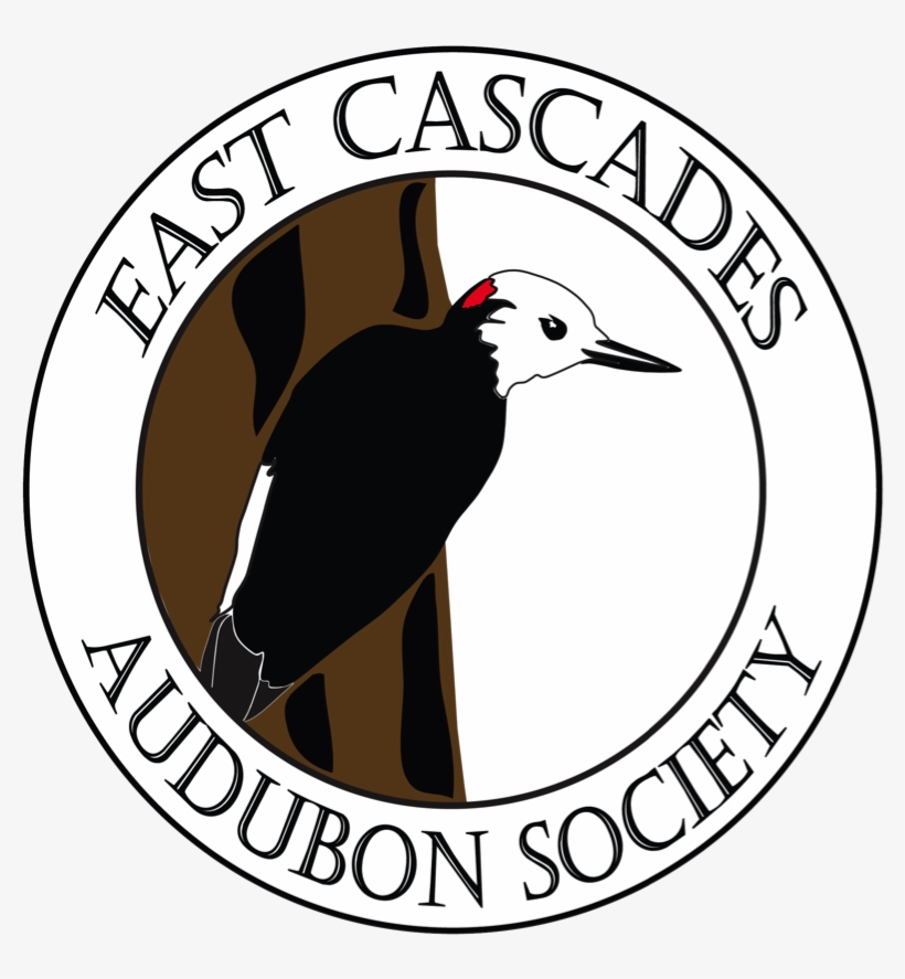 Download 8th Annual Dean Hale Woodpecker Festival - Municipality Of ...
