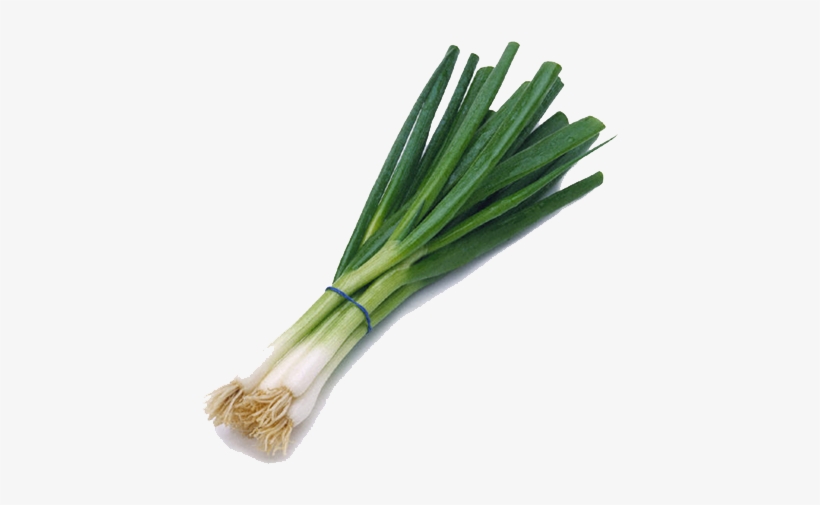 Green Onion Png Transparent Image - Green Onion Transparent PNG ...