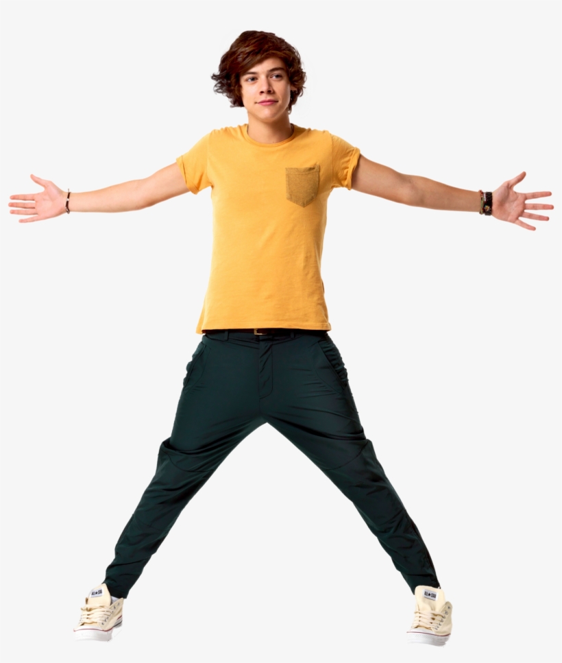 Harry Styles Transparent Background Transparent PNG - 844x947 - Free ...
