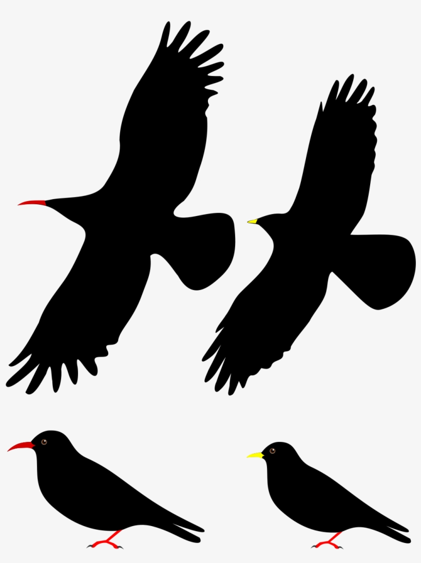 Two Flying Black Bird Transparent PNG - 1200x1440 - Free Download on ...