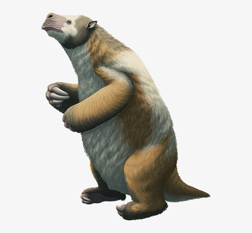 Png Giant Sloth Transparent PNG - 590x700 - Free Download on NicePNG