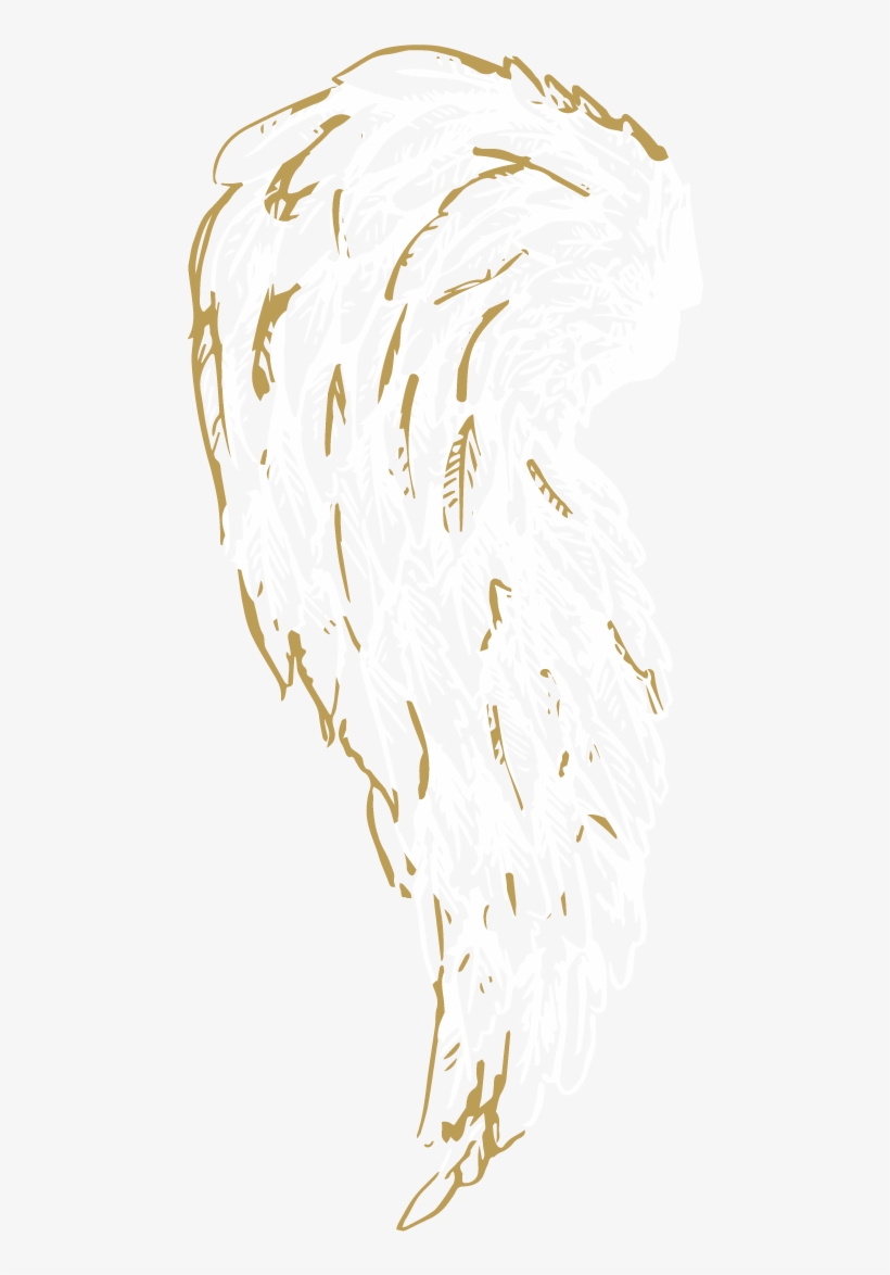 Who - Illustration Transparent PNG - 539x1169 - Free Download on NicePNG