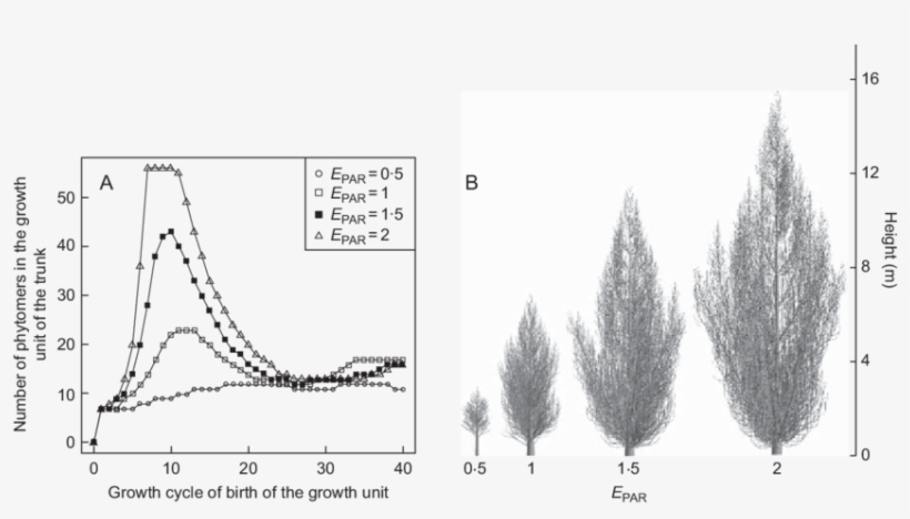 Cypress Trees Are Simulated With The Same Characteristics - Cypress ...