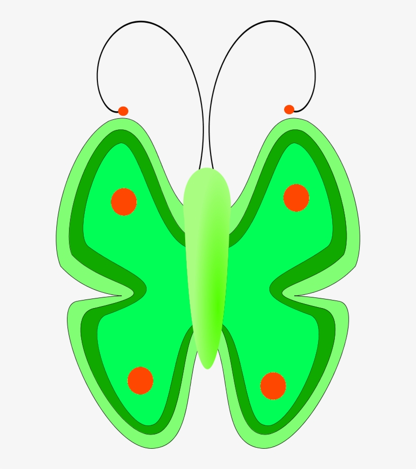 Butterfly Front View - Butterfly Clip Art For Kids Transparent PNG ...
