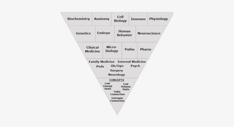 Usmle Triangle - Usmle Step 1 Transparent PNG - 400x370 - Free Download ...