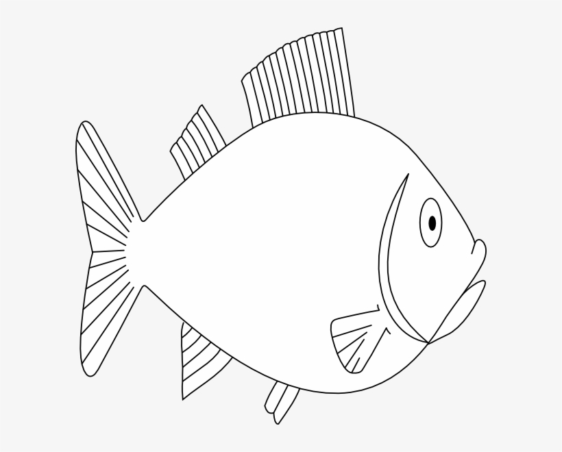 Download Fish,animal,swimming,sea Life,outline,free Vector Graphics ...