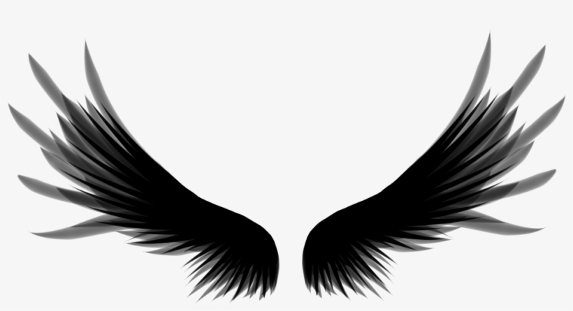 Download Roblox Commander Crow's Wings - HD Transparent PNG - NicePNG.com