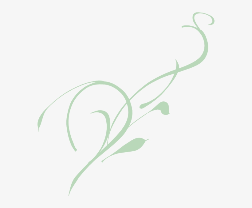 Vine - Green - Ranjith Name Transparent PNG - 576x599 - Free Download ...