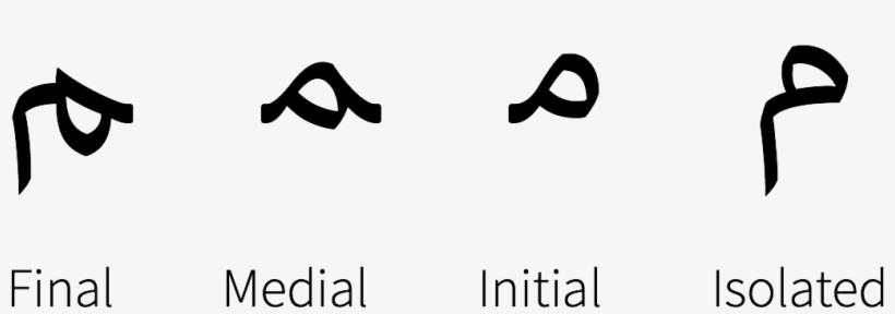 Download Arabic Typography - Arabic Meem - HD Transparent PNG - NicePNG.com