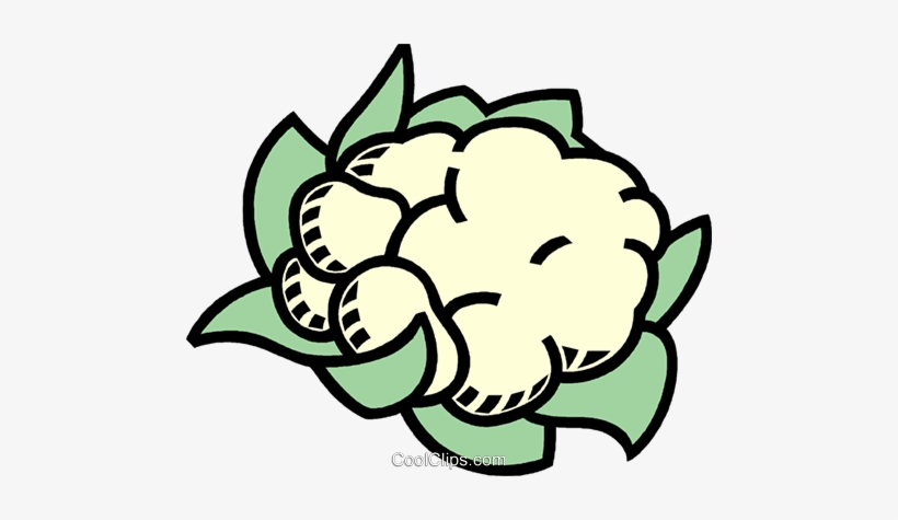 Cauliflower Royalty Free Vector Clip Art Illustration - Cauliflower ...