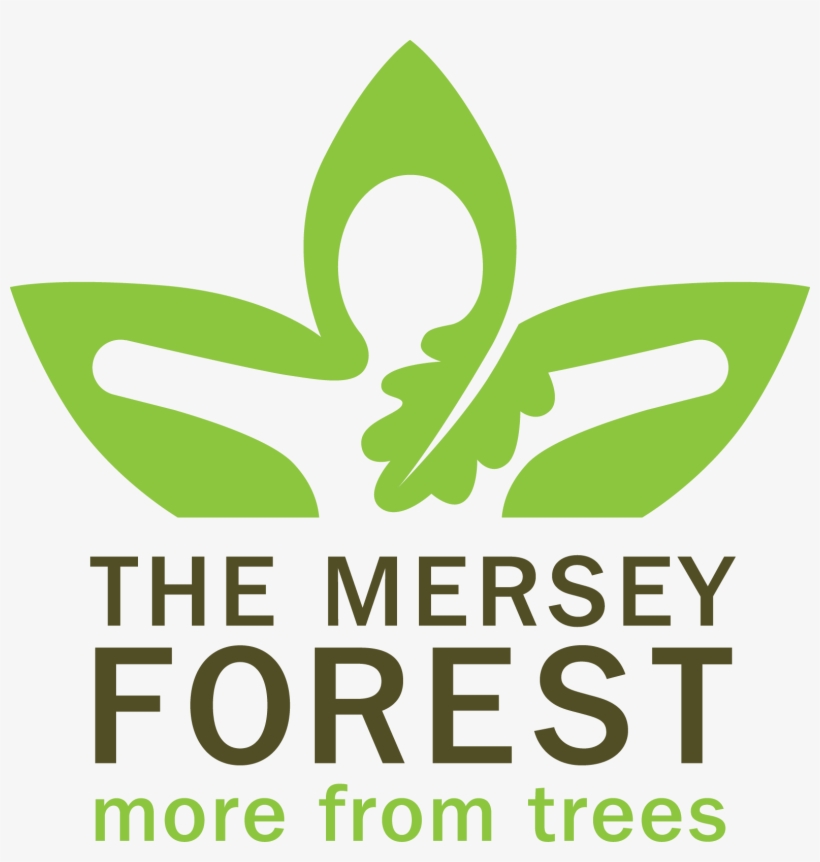 Nahs Products - Mersey Forest Logo Transparent PNG - 1575x1580 - Free ...