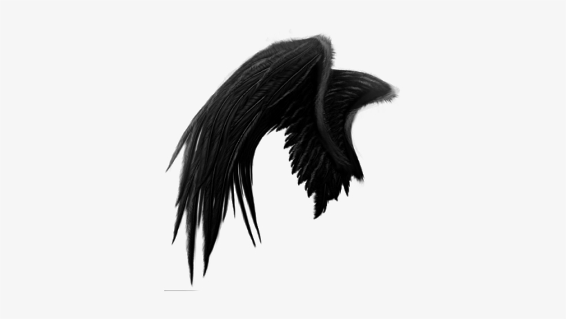 Alas Negras Png Transparent PNG - 343x382 - Free Download on NicePNG