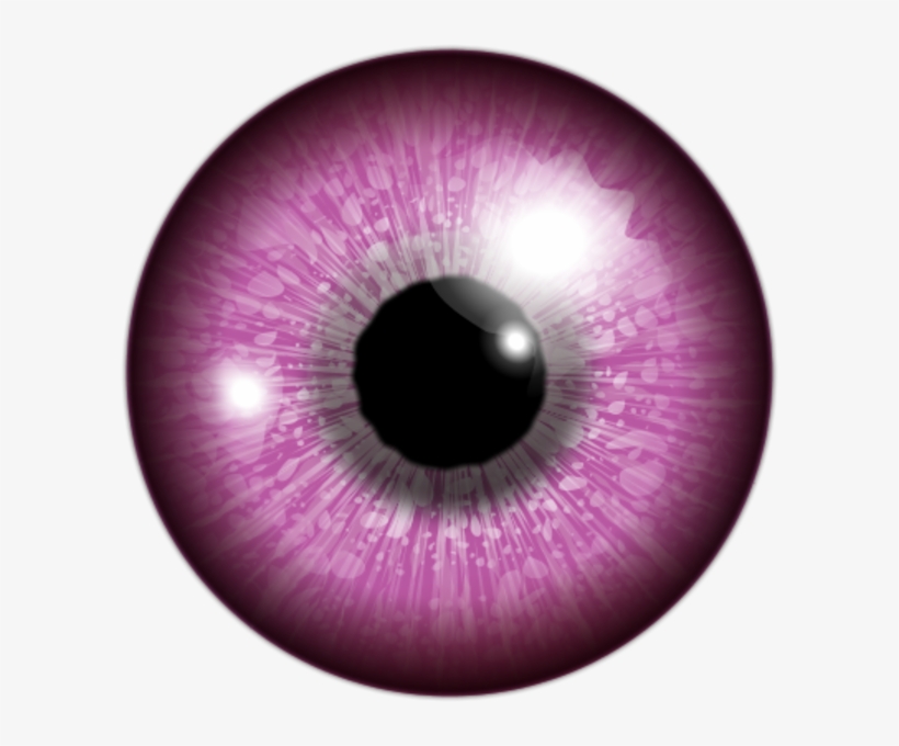 Large Eye Clipart - Eye Lens For Editing Transparent PNG - 600x600 ...