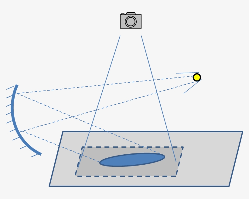 Reflection - Circle Transparent PNG - 782x575 - Free Download on NicePNG