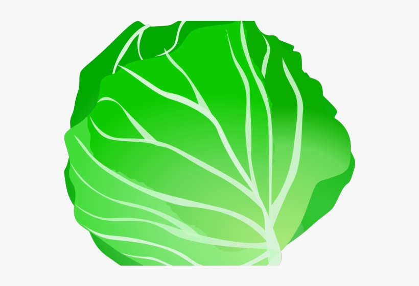 Head Of Lettuce Cartoon Clipart