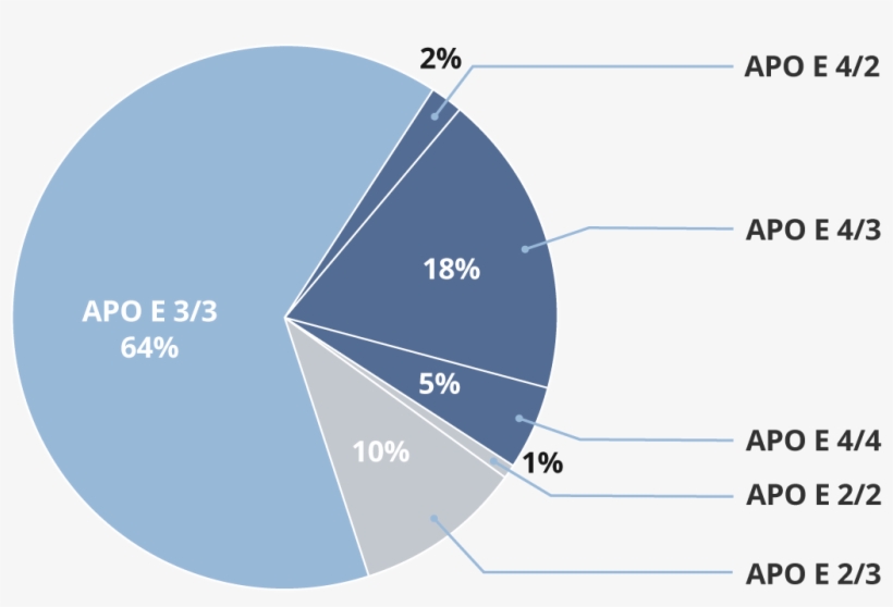 Pie Chart Showing Percentages Of Apo E Gene Types - Apo E 2 Transparent ...