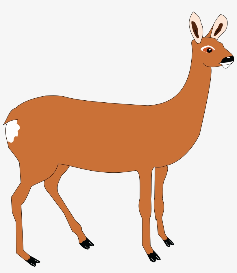 Doe Clipart Transparent PNG - 4000x4414 - Free Download on NicePNG