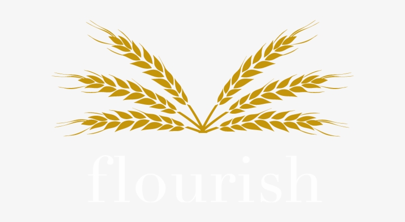 Start Flourishing - Flourish Transparent PNG - 612x369 - Free Download ...