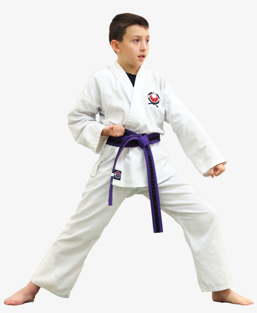 Download Karate Png - High Resolution Png Karate - HD Transparent PNG ...