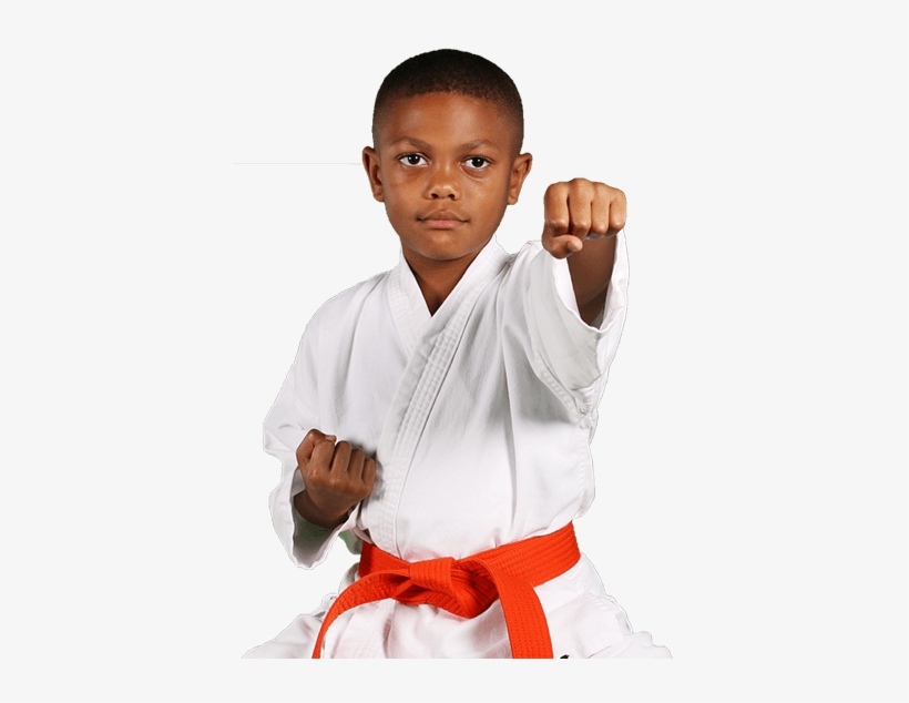 Kids Martial Arts - Usa Karate Transparent PNG - 400x554 - Free ...