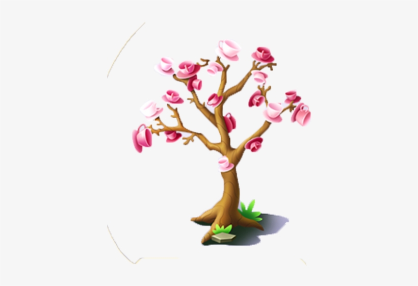 Tea Tree - Illustration Transparent PNG - 480x480 - Free Download on ...