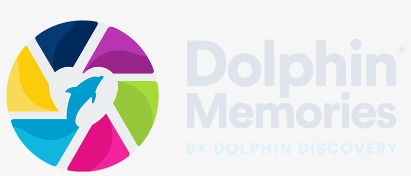 Dolphin Discovery Memories Transparent PNG - 1095x416 - Free Download ...