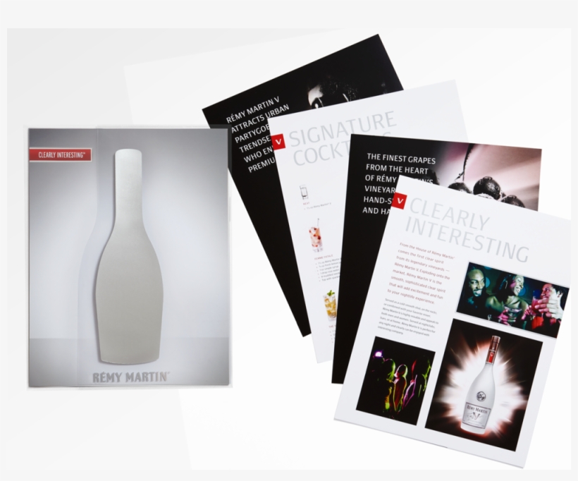 Remy Kit Overview Transparent PNG - 1000x783 - Free Download on NicePNG