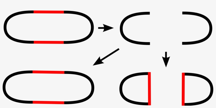 Download File - Circle-surgery - Svg - Surgery - HD Transparent PNG ...