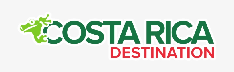 Logo - Socket.io Transparent PNG - 781x230 - Free Download on NicePNG