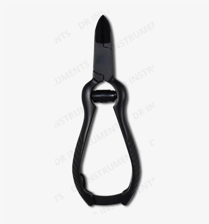 More Views - Nipper Transparent PNG - 800x800 - Free Download on NicePNG