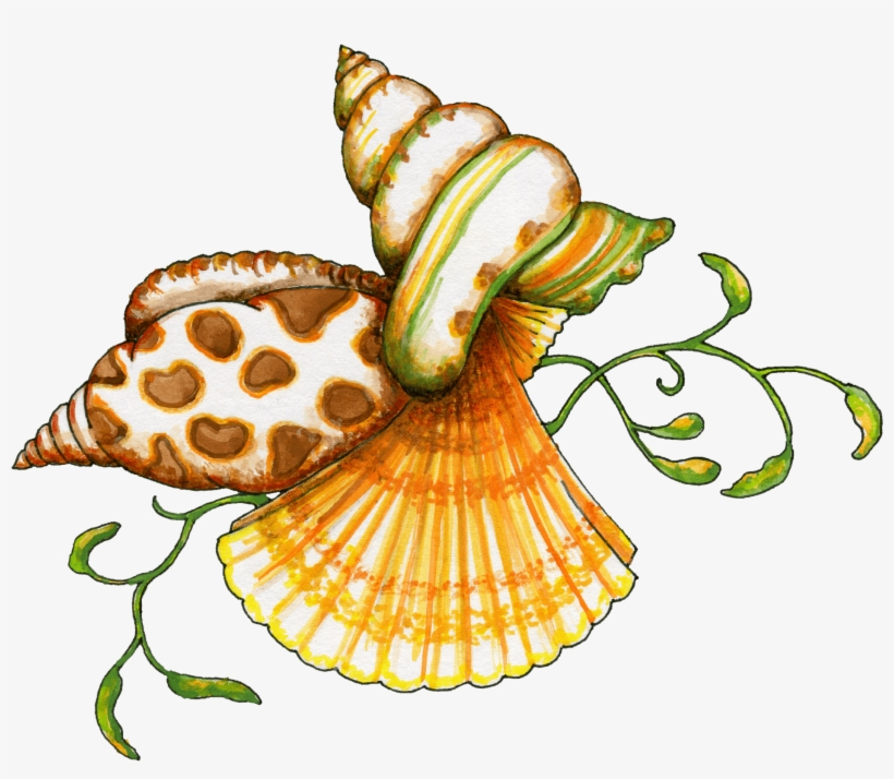 Conch Shell Clipart At Getdrawings - Sea Shell Clip Art Transparent PNG ...