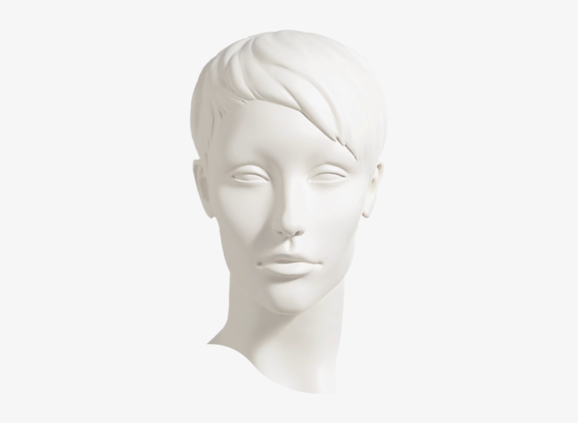 Head Transparent PNG - 600x600 - Free Download on NicePNG