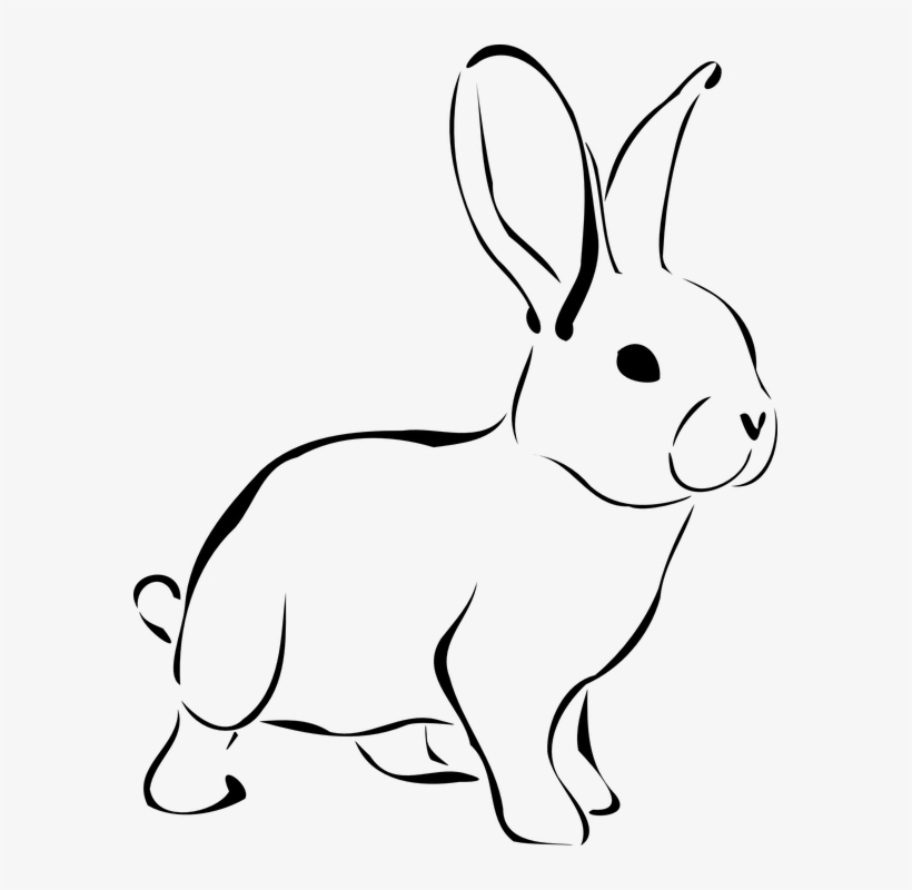 Bunny Clipart Transparent PNG - 579x720 - Free Download on NicePNG