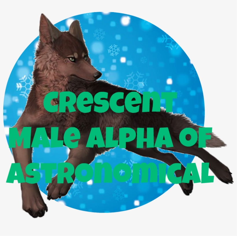 Freevector Winter Vector Background - Nieve Cayendo Transparent PNG ...