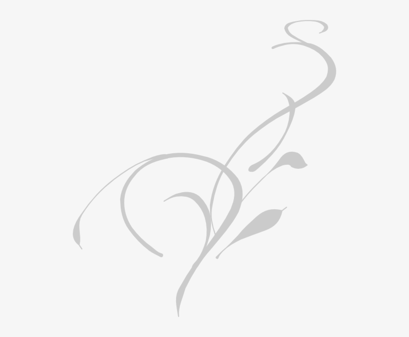 Download Flourish Png - Vine Clip Art - HD Transparent PNG - NicePNG.com