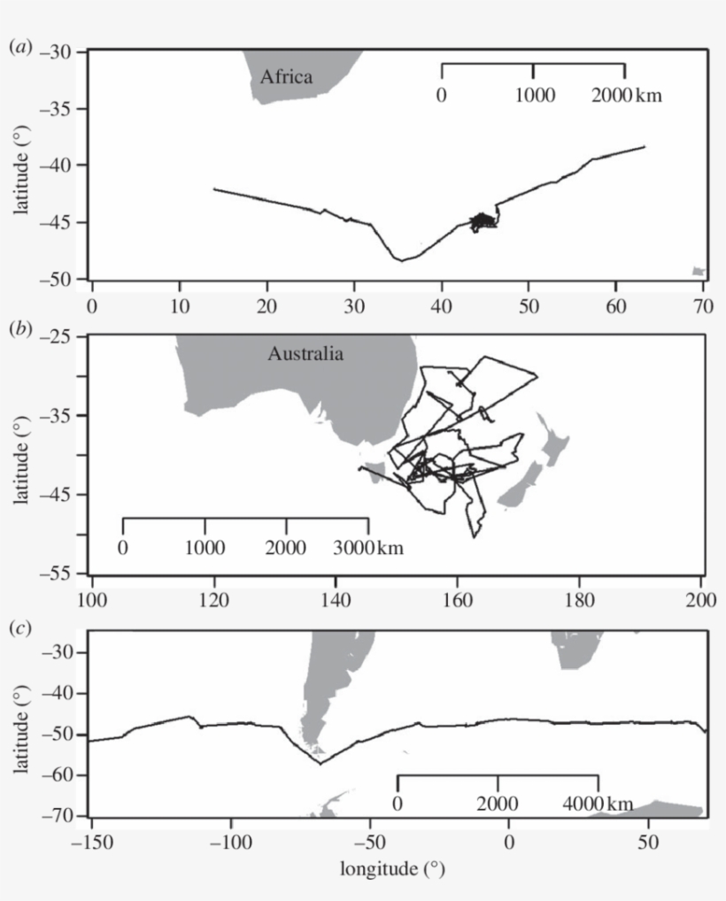 Examples Of Three Movement Types - Diagram Transparent PNG - 850x1014 ...