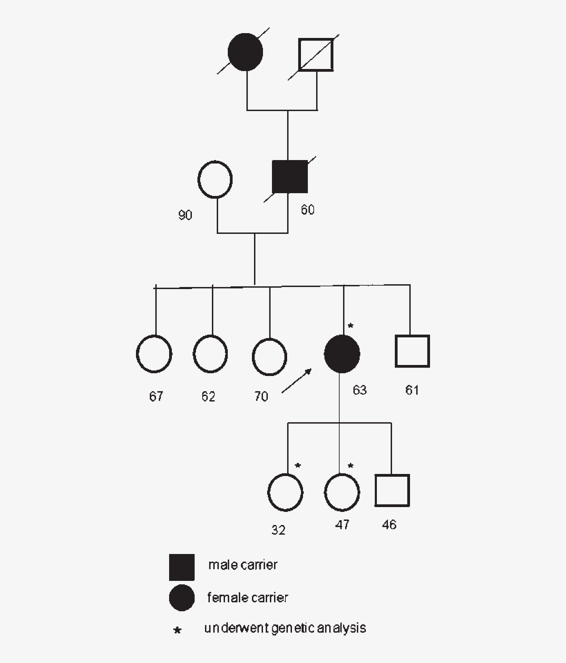 Slashes Indicate Dead Individuals - Diagram Transparent PNG - 426x881 ...
