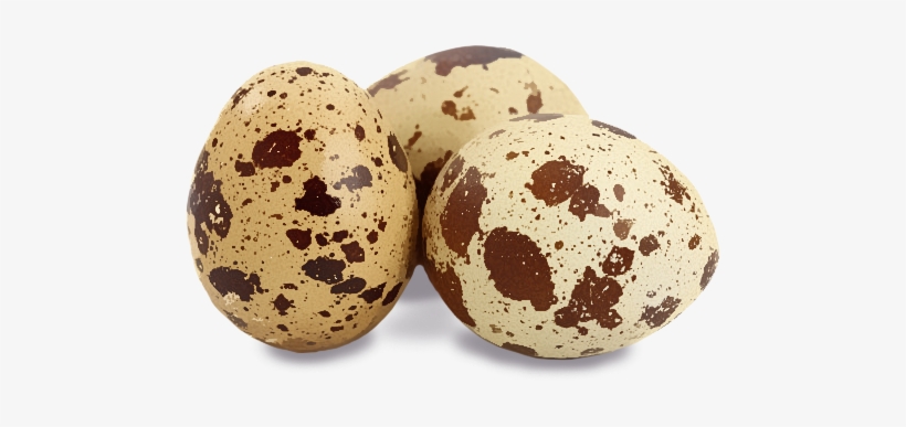 Huevo De Codorniz, - Huevo De Codorniz Png Transparent PNG - 500x500 ...