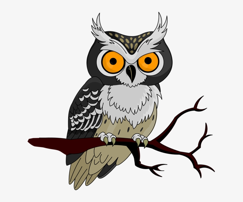 Happy Halloween Owl Clipart