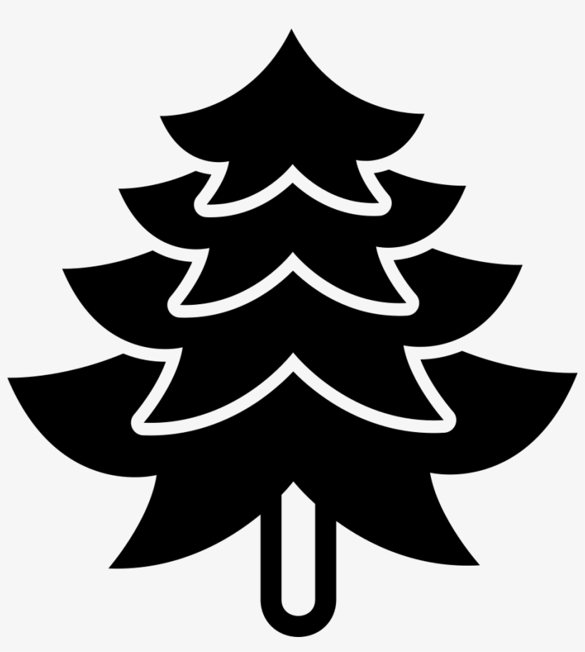 Big Pine Tree Shape Vector - Pine Transparent PNG - 400x400 - Free ...