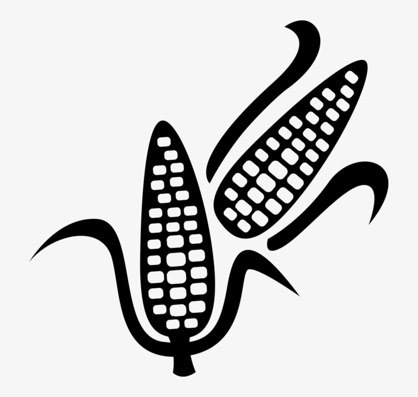 De Maíz En La Mazorca Libres De Derechos Ilustraciones - Corn Vector ...
