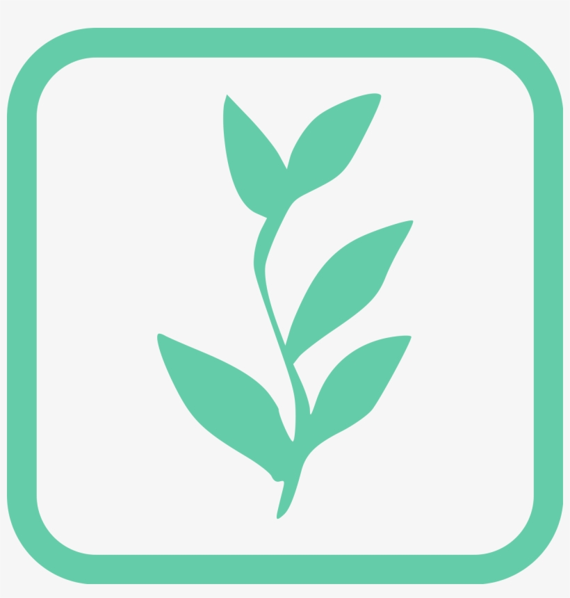 Open - Wikimedia Commons Transparent PNG - 2000x2000 - Free Download on ...