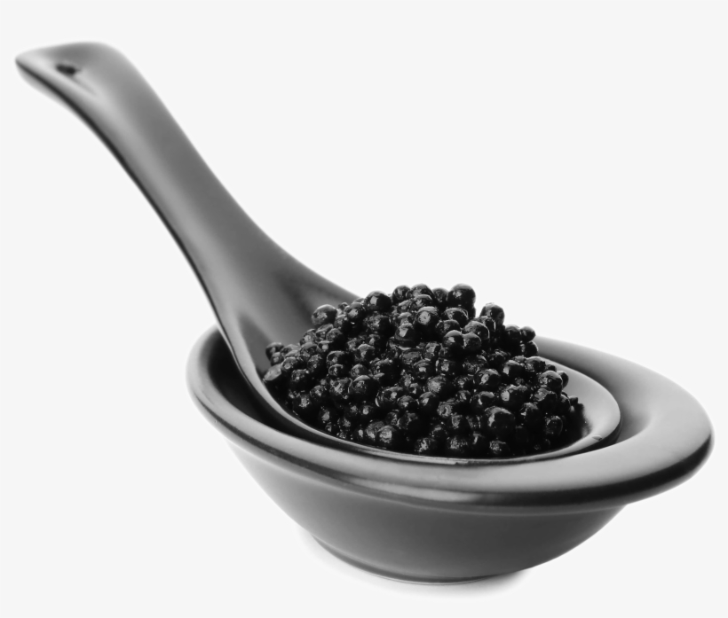 Black Caviar - Ceramic Transparent PNG - 4360x3289 - Free Download on ...