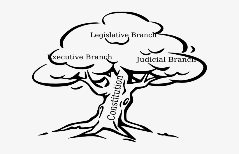 Branches Of Government Tree Outline