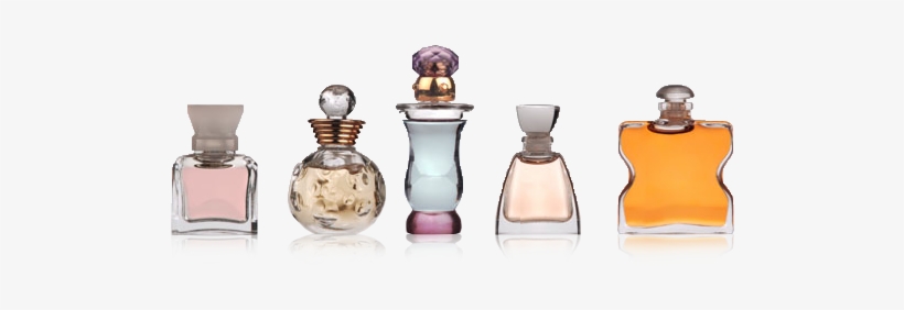 Image - - Things That Have Smell Transparent PNG - 608x202 - Free ...