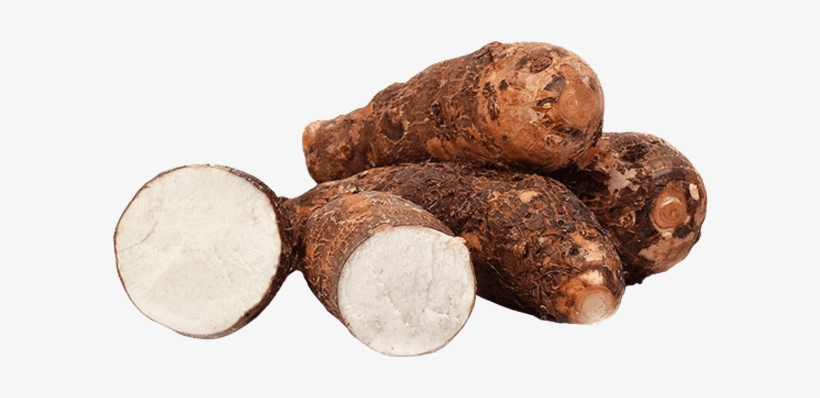 Tapioca - Ocumo Transparent PNG - 660x450 - Free Download on NicePNG